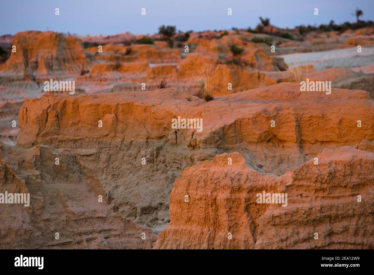 Photos of Mungo National Park and main campground Stock Photo - Alamy