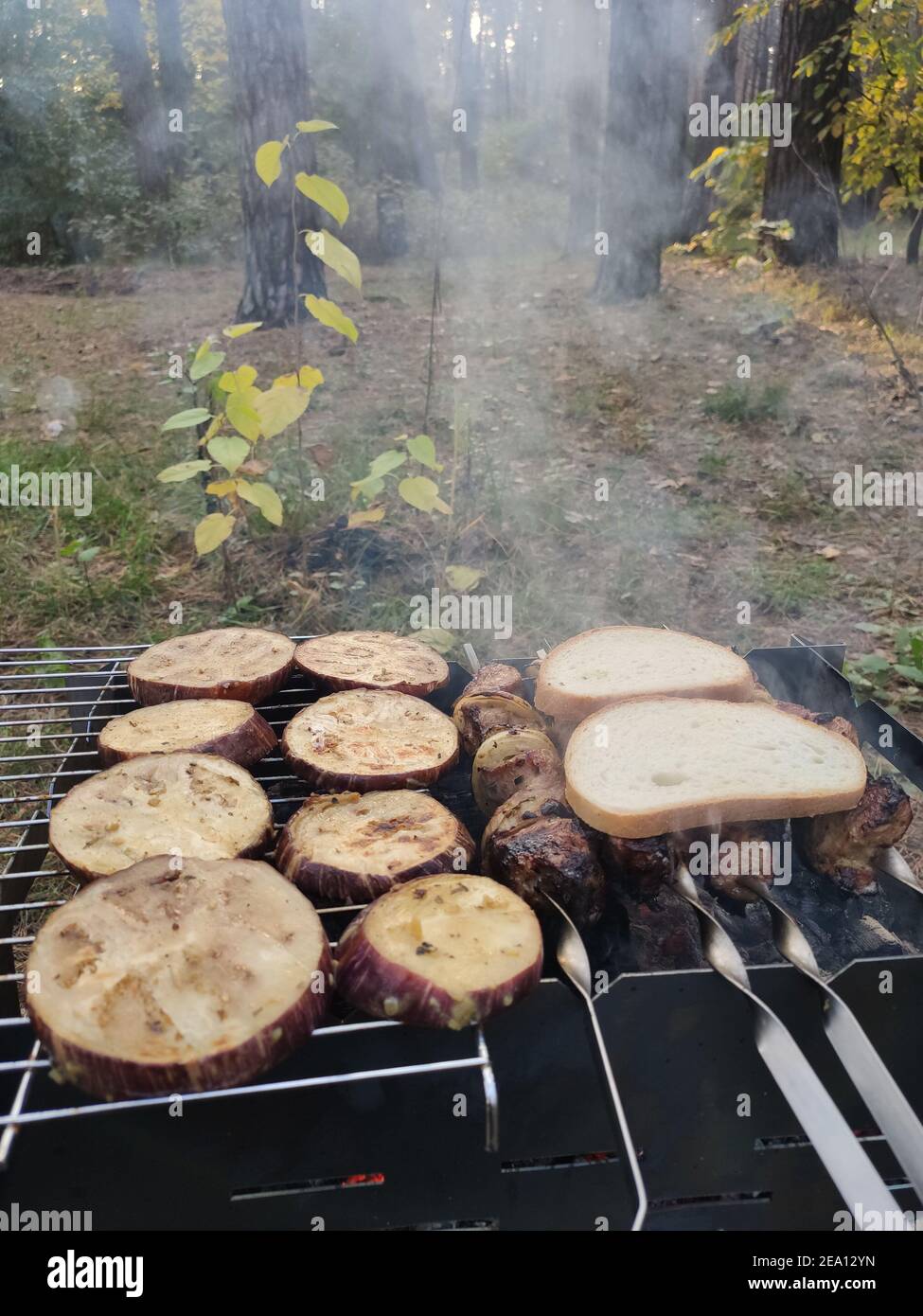a delicious vegetables and meat on the grill in the park at a picnic in ...