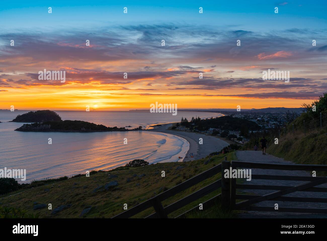 Moturiki island new zealand hi-res stock photography and images - Alamy
