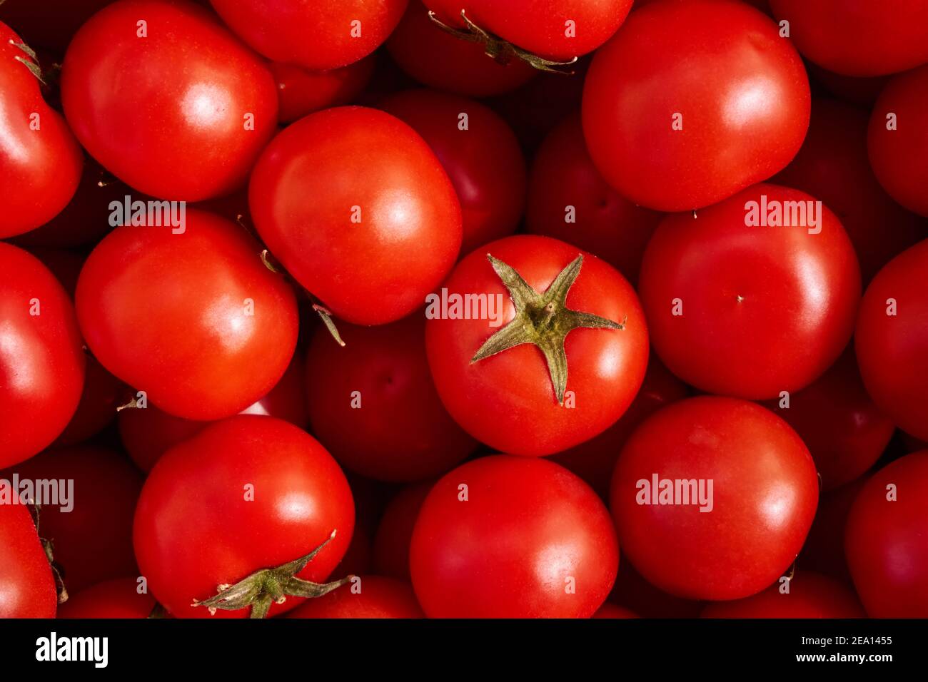 Red sun glare hi-res stock photography and images - Alamy