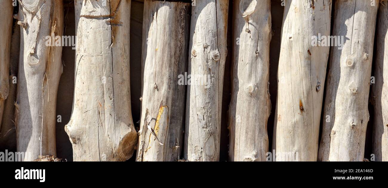 Untreated wood texture hi-res stock photography and images - Alamy