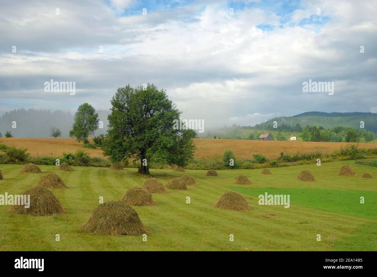 Farmland farm farming agriculture agricultural land balkan hi-res stock ...