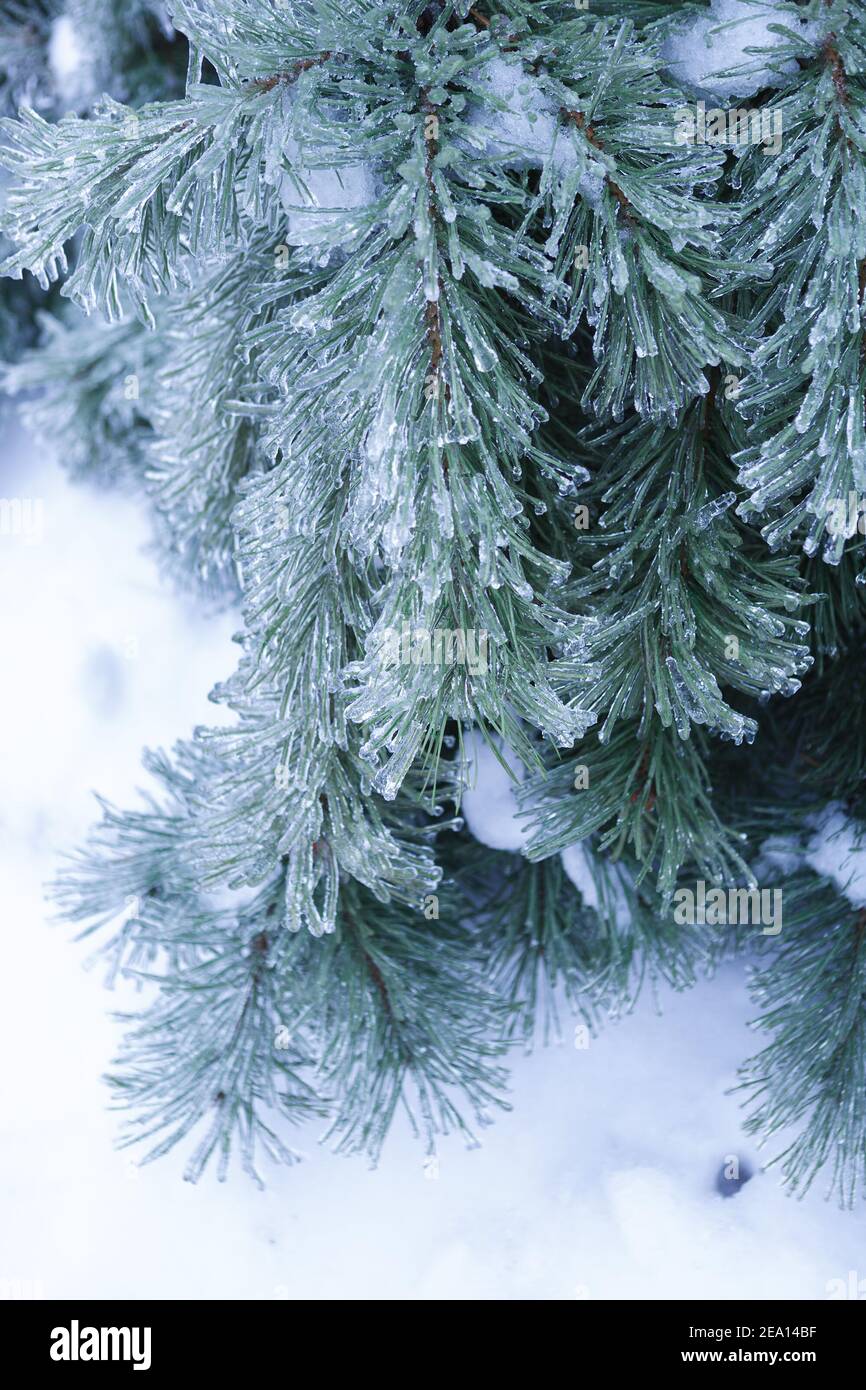 Rain crust hi-res stock photography and images - Alamy