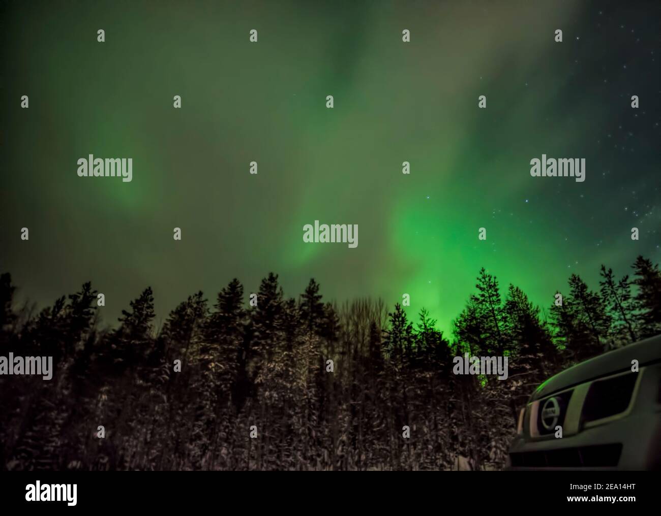 Northern lights over the forest. Polar light Stock Photo - Alamy