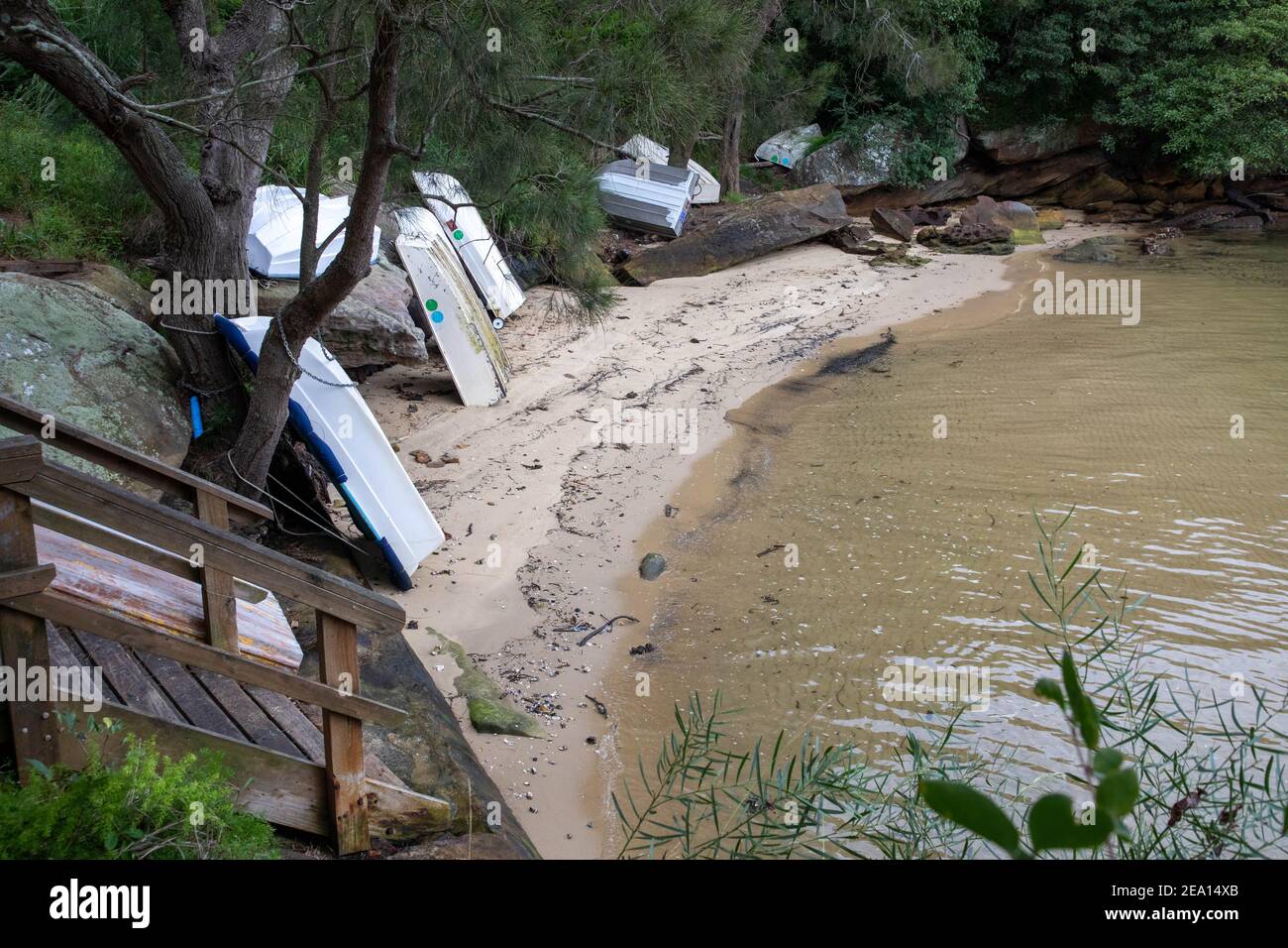 Betts Sydney Nsw Sale | emergencydentistry.com