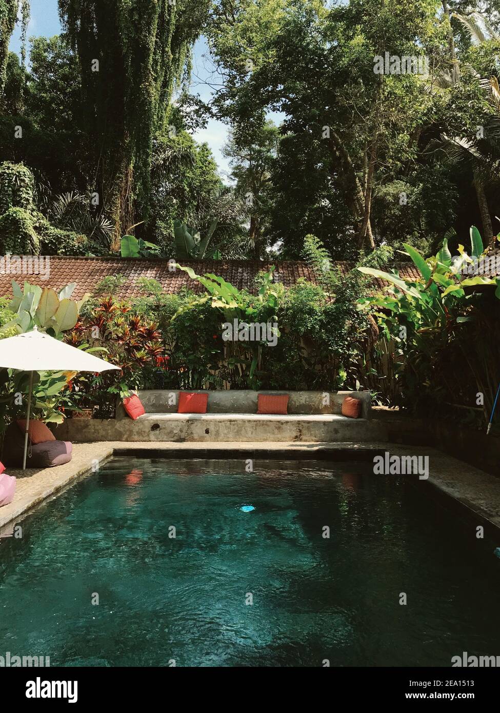 Fancy house with a swimming pool hi-res stock photography and images ...