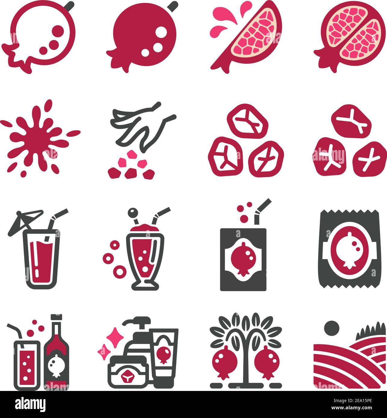 pomegranate icon set,vector and illustration Stock Vector Image & Art ...