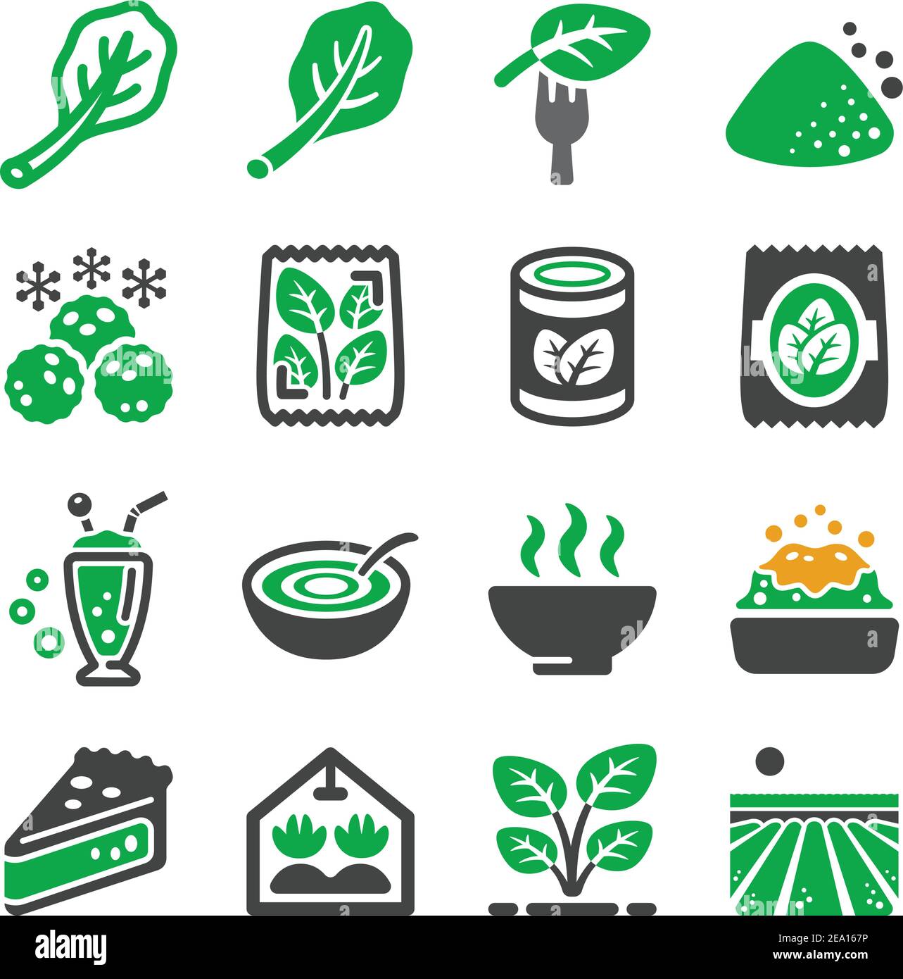 Fresh green spinach icon Cut Out Stock Images & Pictures - Alamy