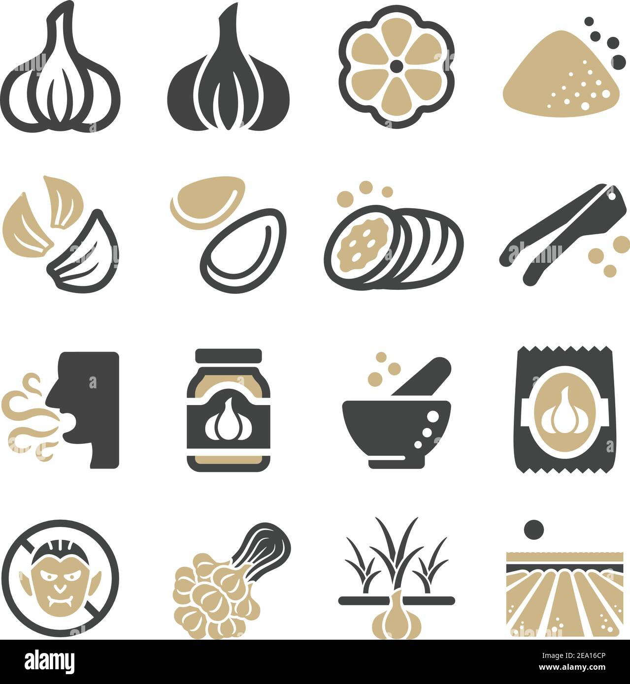 garlic icon set Stock Vector Image & Art - Alamy