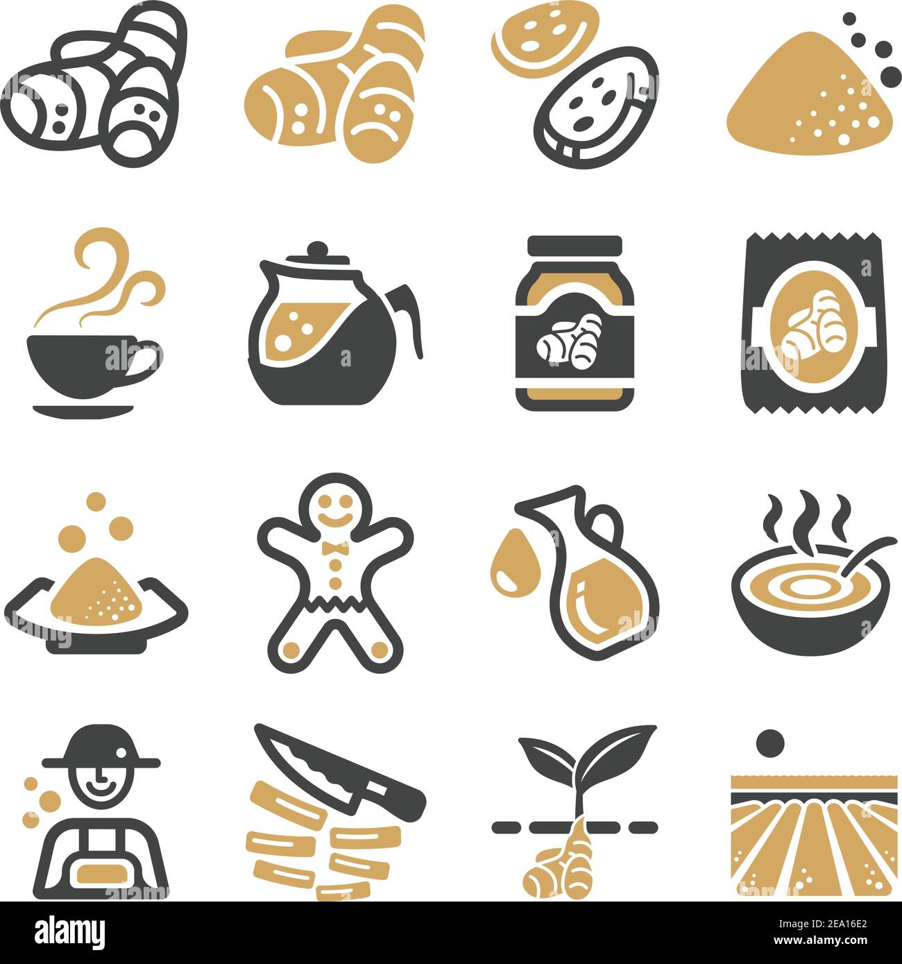 Slice ginger icon Cut Out Stock Images & Pictures - Alamy