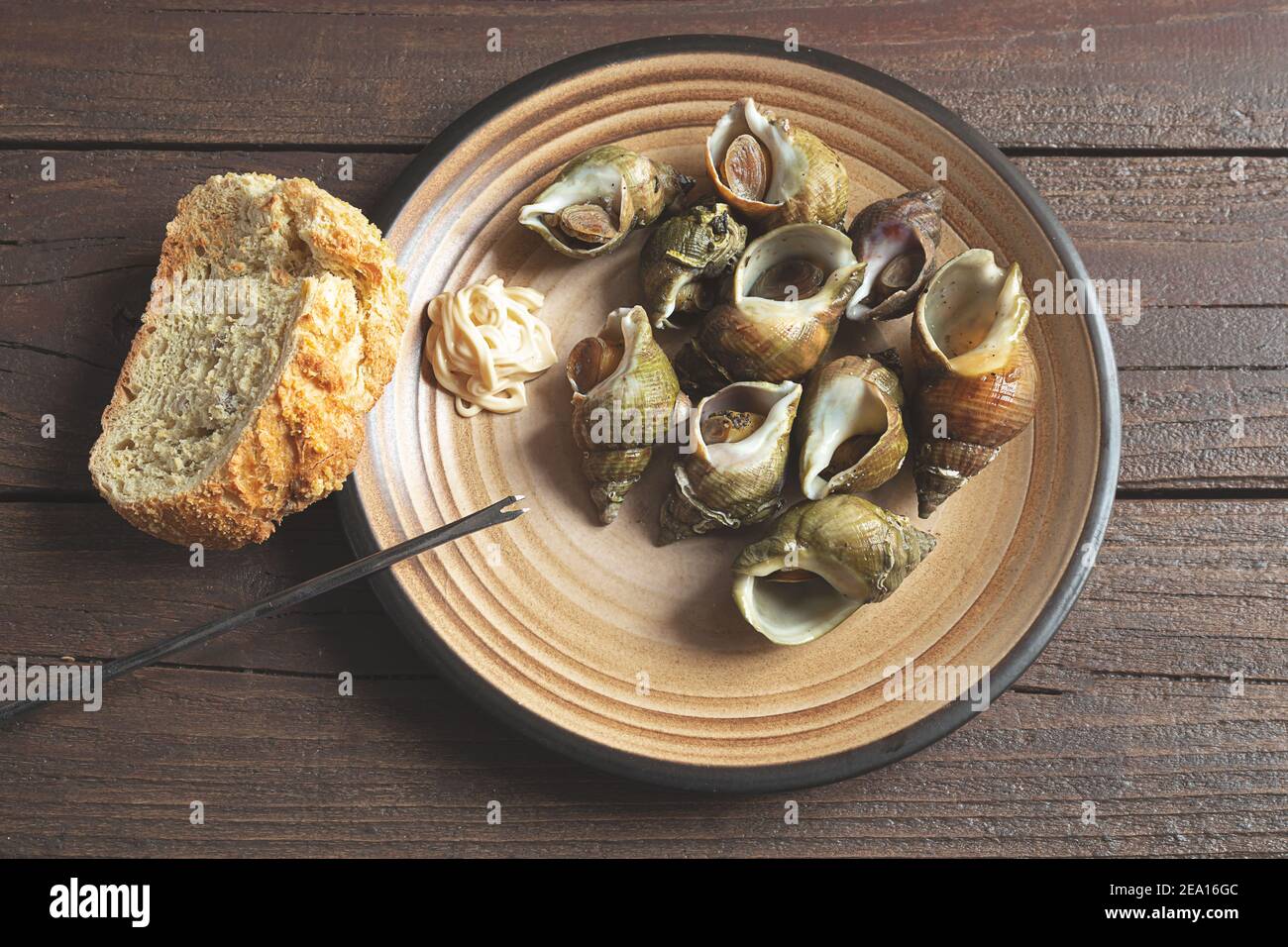 Snails sea food hi-res stock photography and images - Alamy