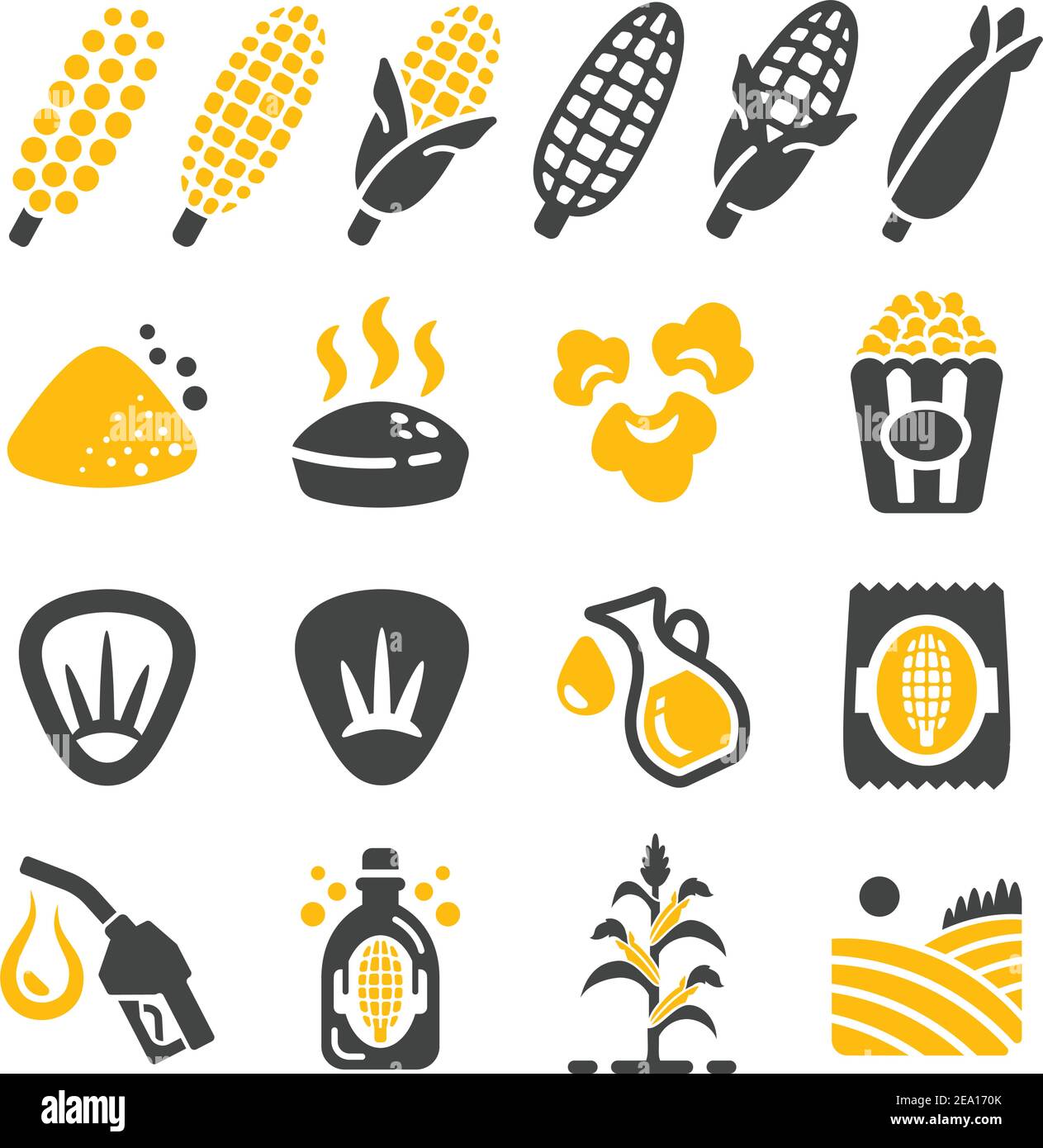 Maize plant corn cob Stock Vector Images - Alamy