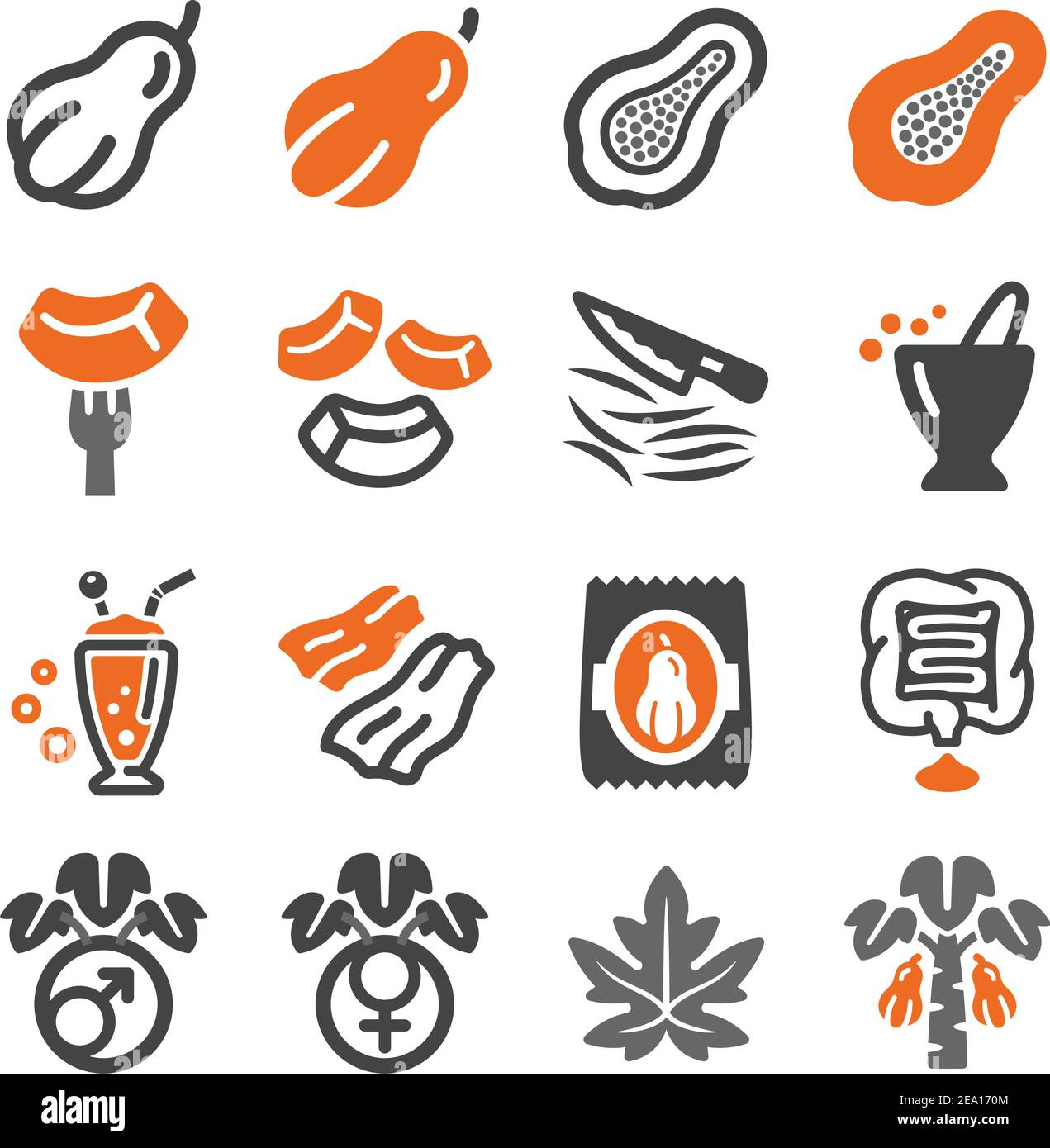 Fresh papaya fruit icon Stock Vector Images - Alamy