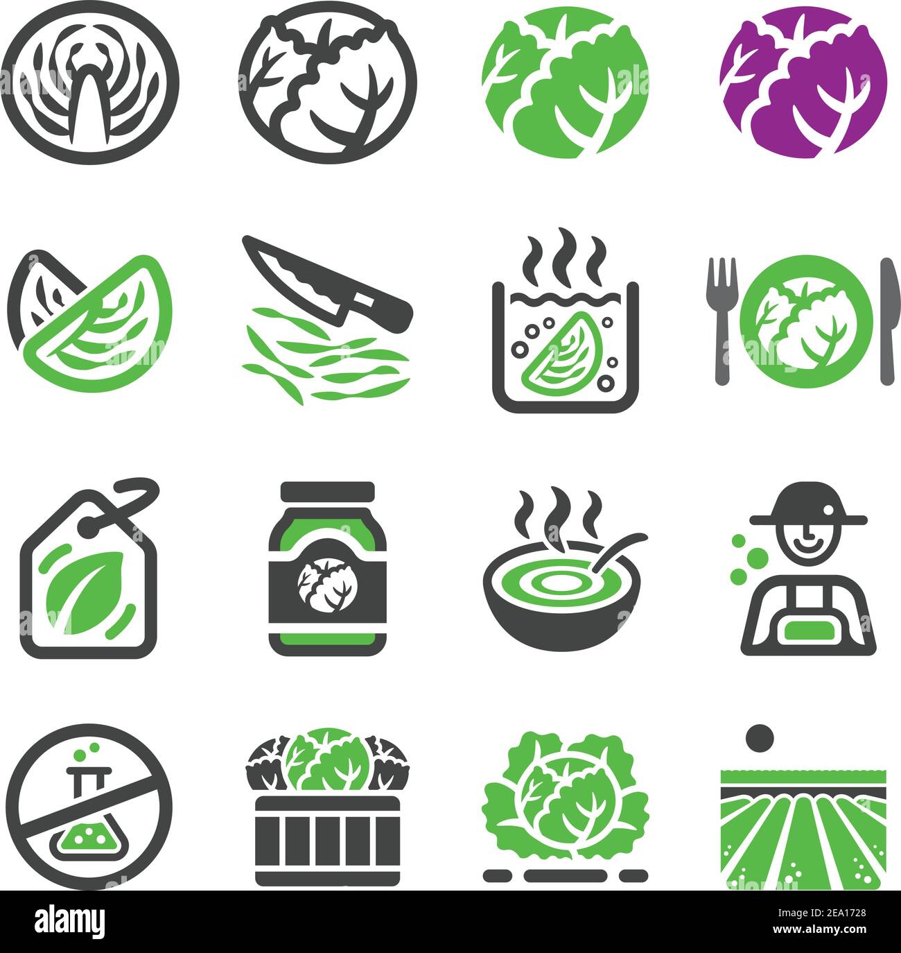 Cabbage farmer Cut Out Stock Images & Pictures - Alamy