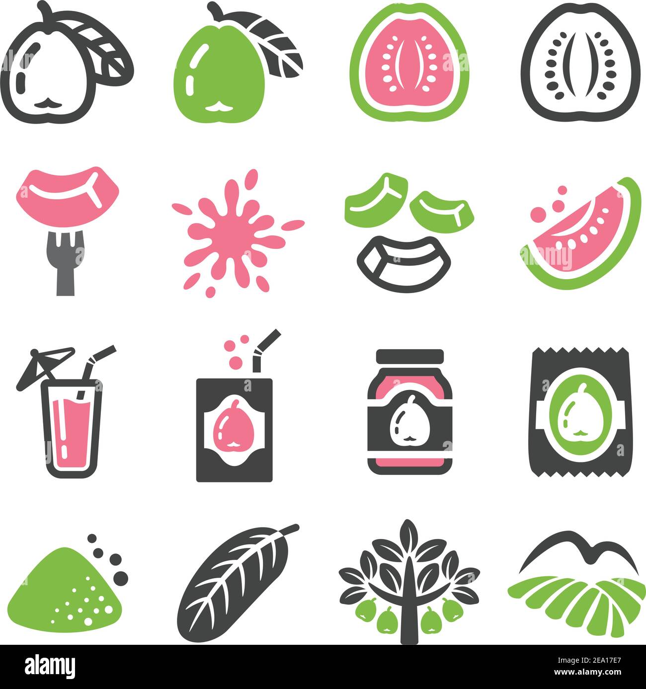 Pink ripe fresh guava Stock Vector Images - Alamy