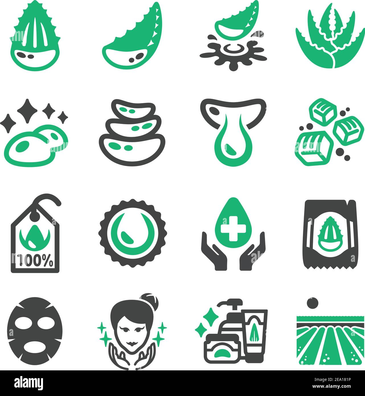 Aloe vera vector vectors hi-res stock photography and images - Alamy