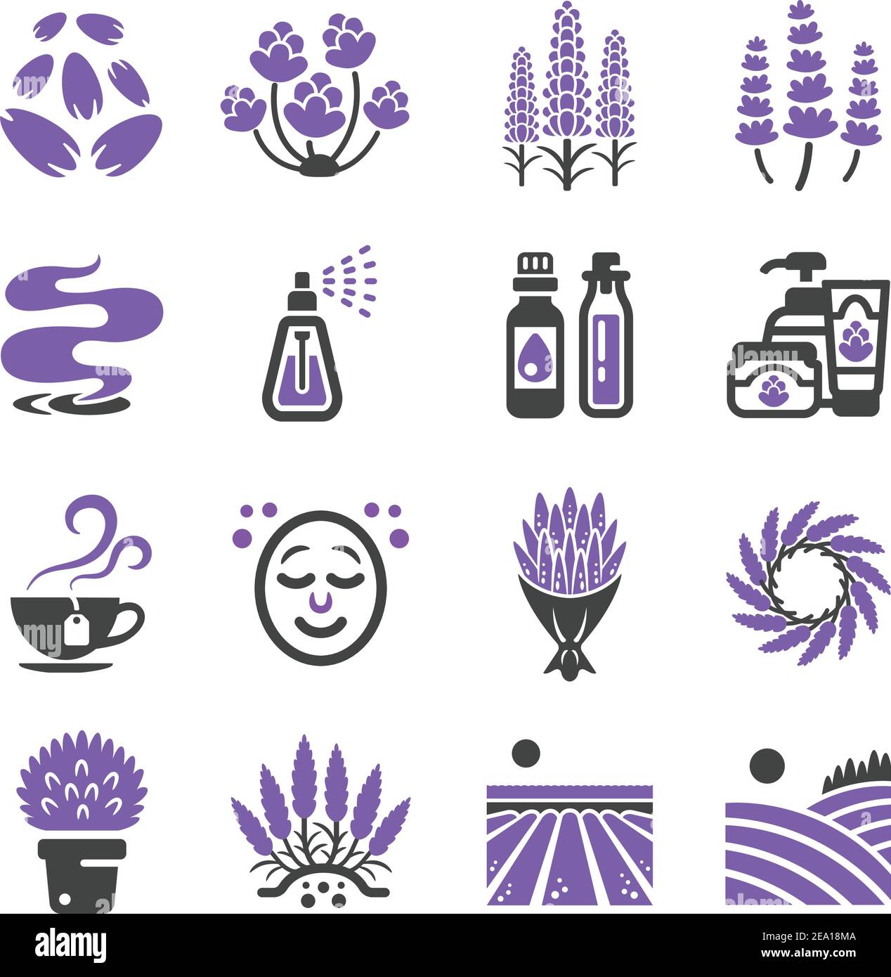 lavender flower icon set Stock Vector Image & Art - Alamy