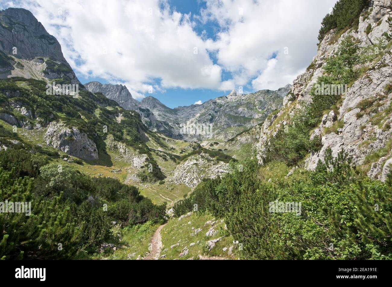 Montenegro national park durmitor hi-res stock photography and images ...