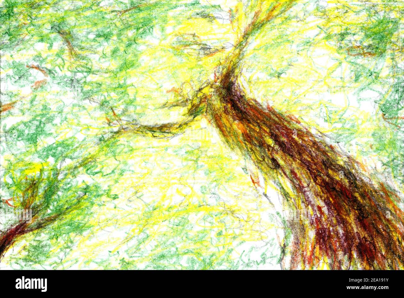 greeneey crown of a tree illustration. colored pencils drawing Stock ...