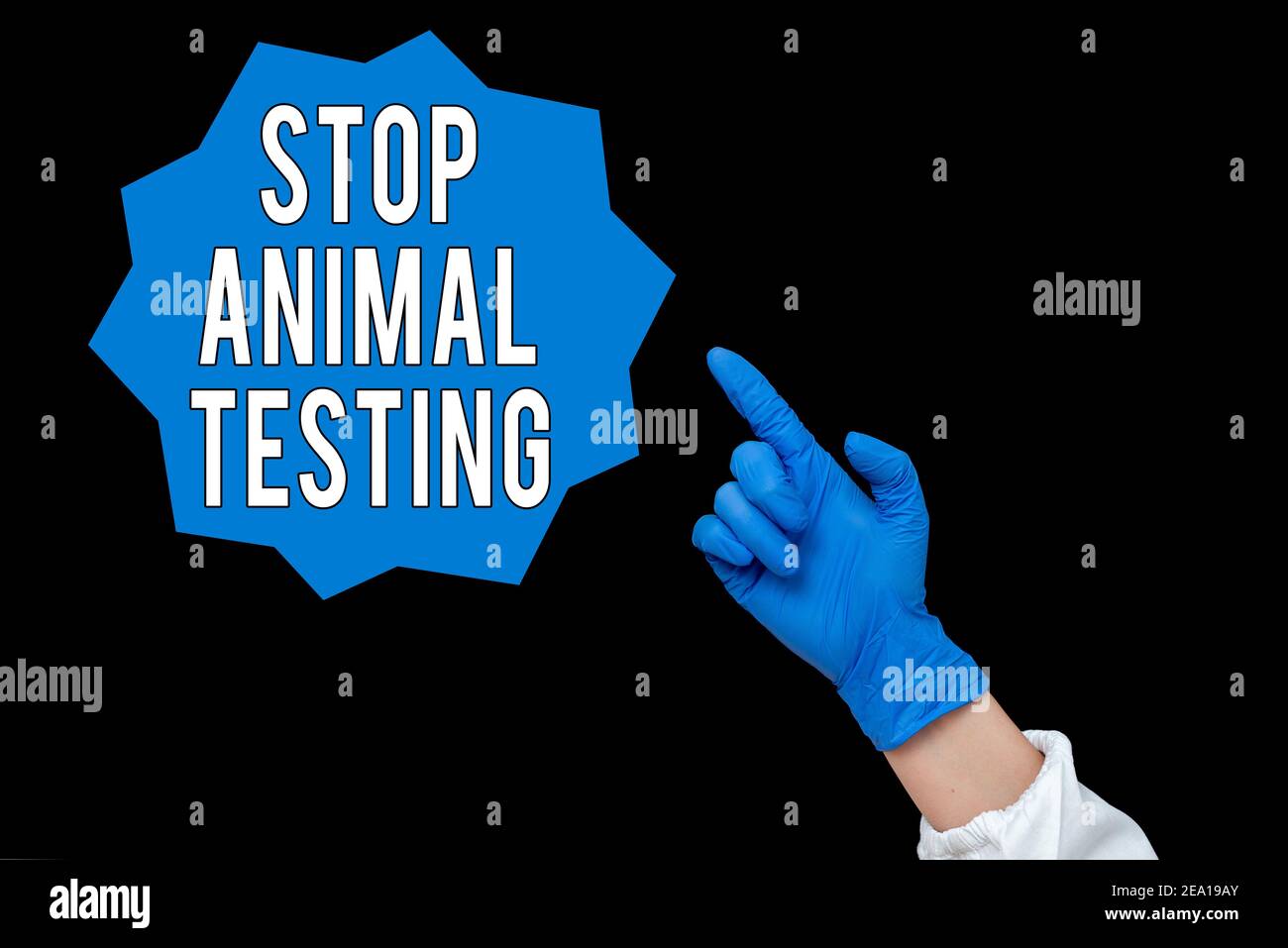 Conceptual hand writing showing Stop Animal Testing. Concept meaning ...