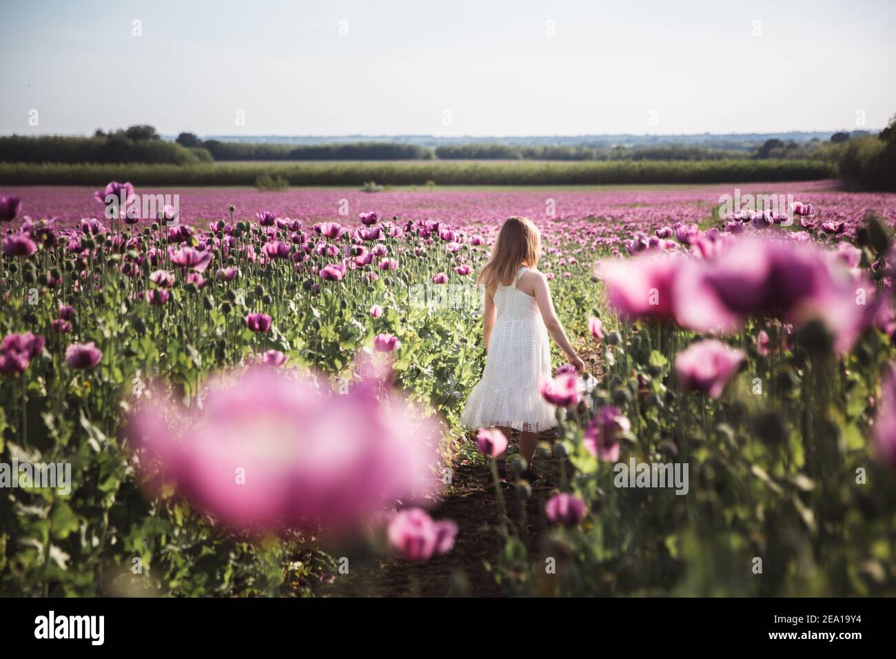 Adorable little girl with long hair in white dress lonely walking in ...