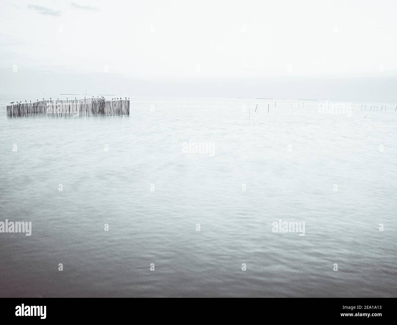 long exposure wooden pole in sea at dusk. Pastel blue and pink sky in ...