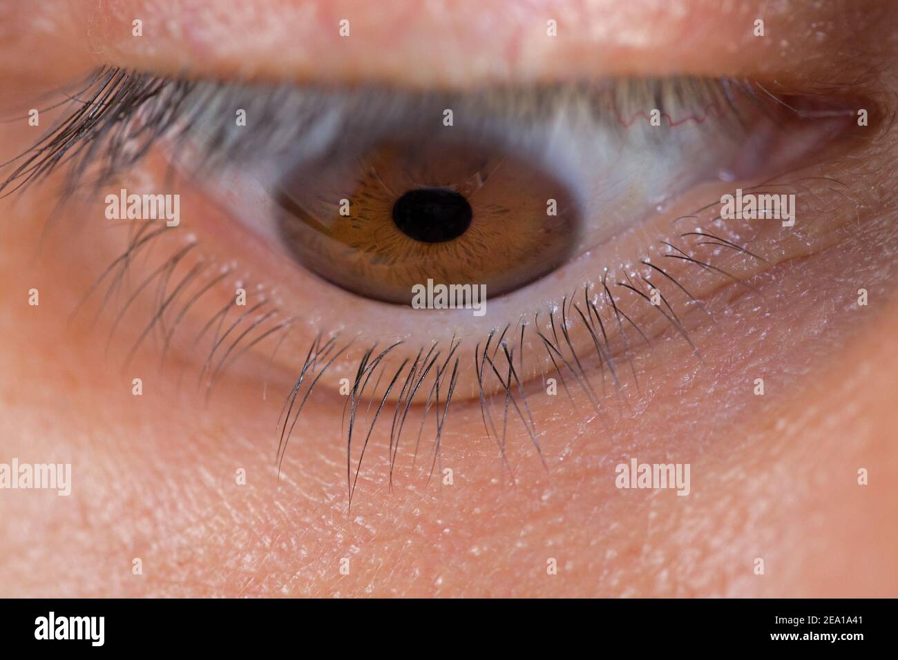 left eye looking down Stock Photo - Alamy