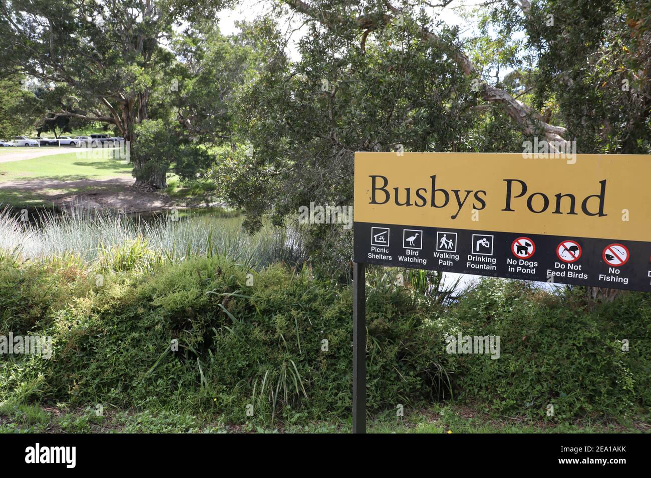 Busbys pond centennial park hi-res stock photography and images - Alamy