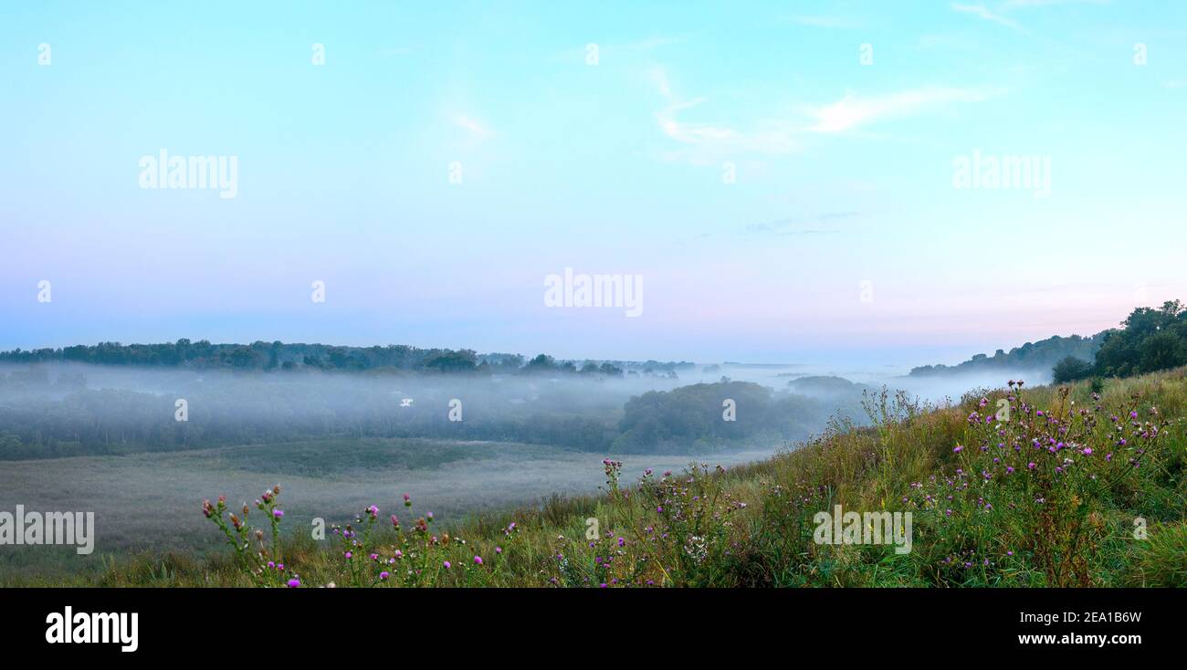Beautiful summer cold hazy landscape with foggy hollow and green hills ...