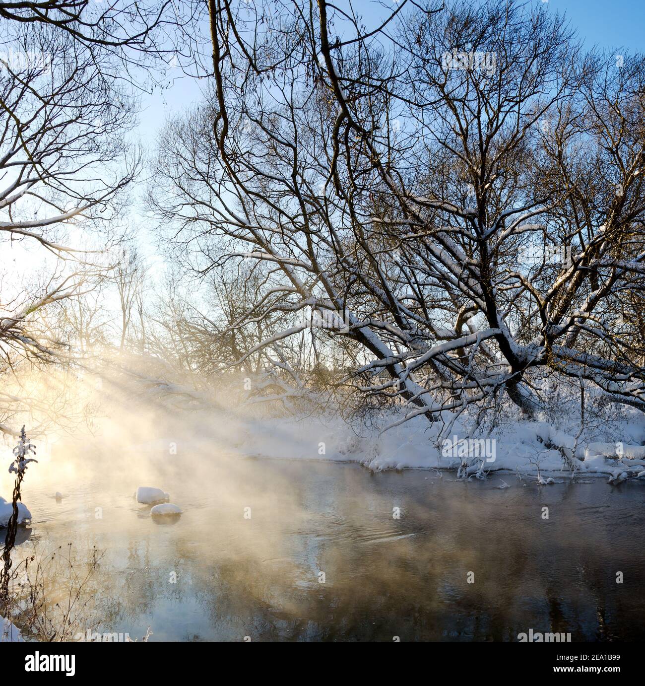 Frosty winter panoramic landscape with forest river during sunny ...