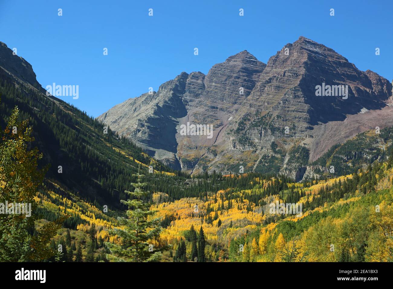 September bells hi-res stock photography and images - Alamy