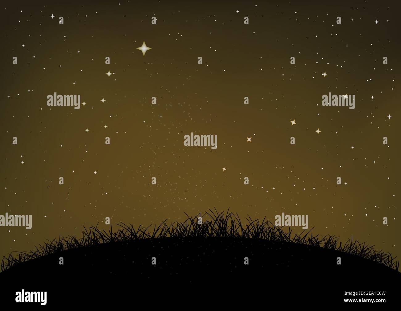 grass and ground starry night sky Stock Vector Image & Art - Alamy