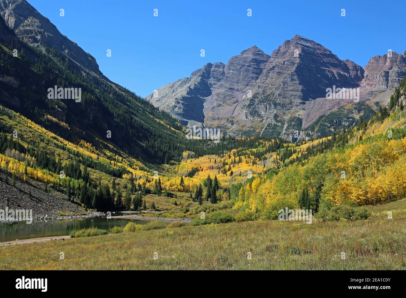 September bells hi-res stock photography and images - Alamy
