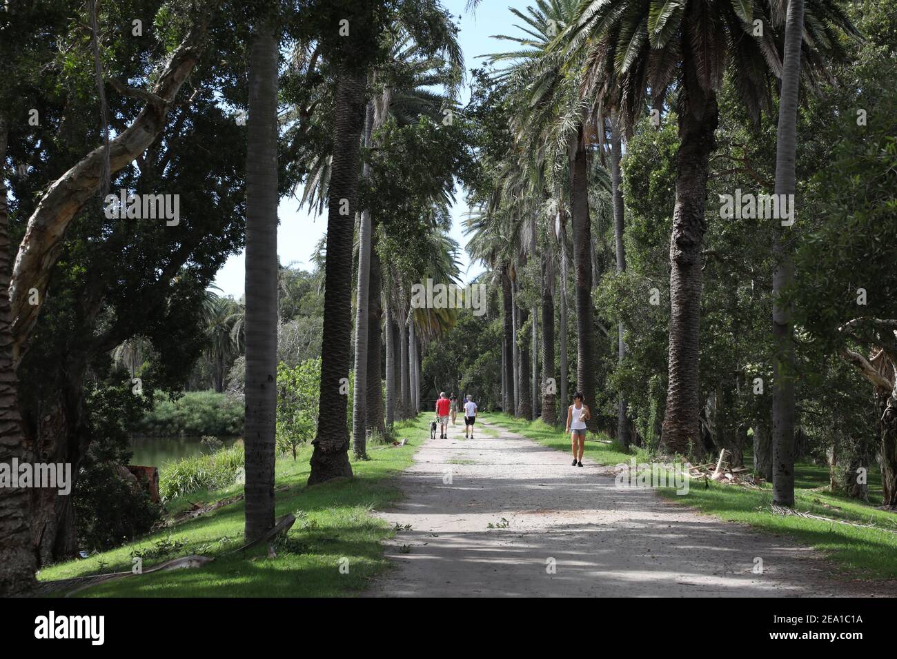 Centennial Park, Sydney, NSW, Australia Stock Photo - Alamy