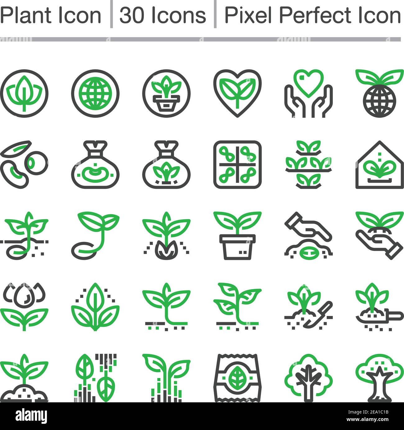 plant line icon,editable stroke,pixel perfect icon Stock Vector Image ...