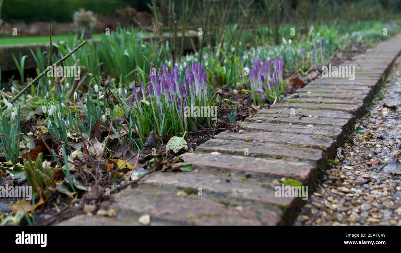Brick Gravel Path High Resolution Stock Photography and Images - Alamy