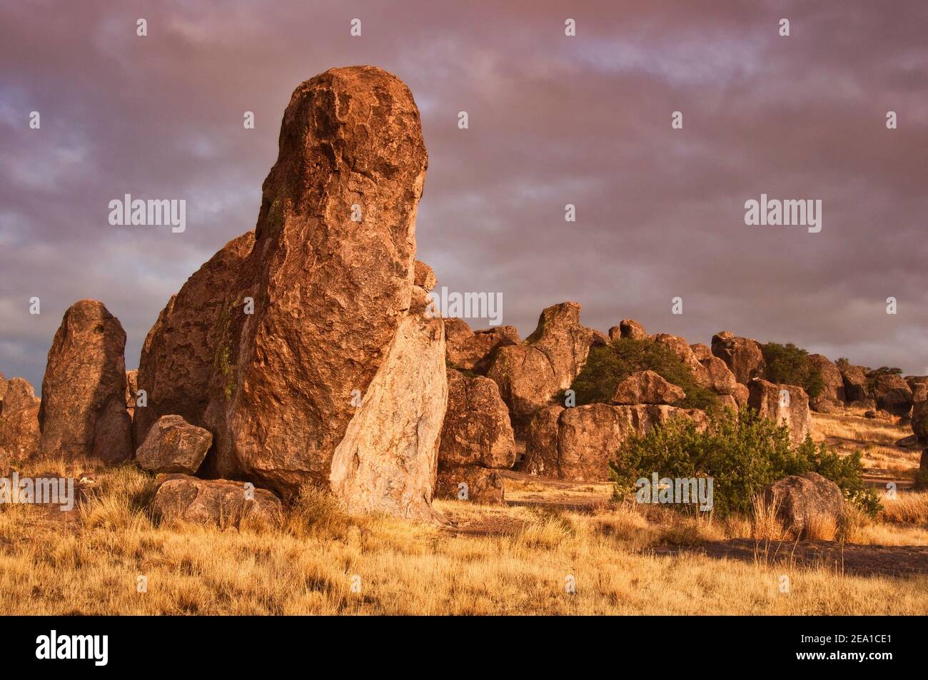Volcanic rock formations at City of Rocks State Park, Mimbres Valley ...