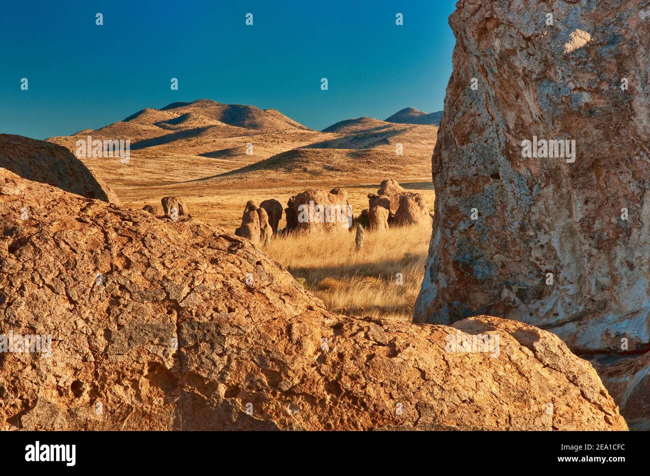 Volcanic rock formations at City of Rocks State Park, Mimbres Valley ...