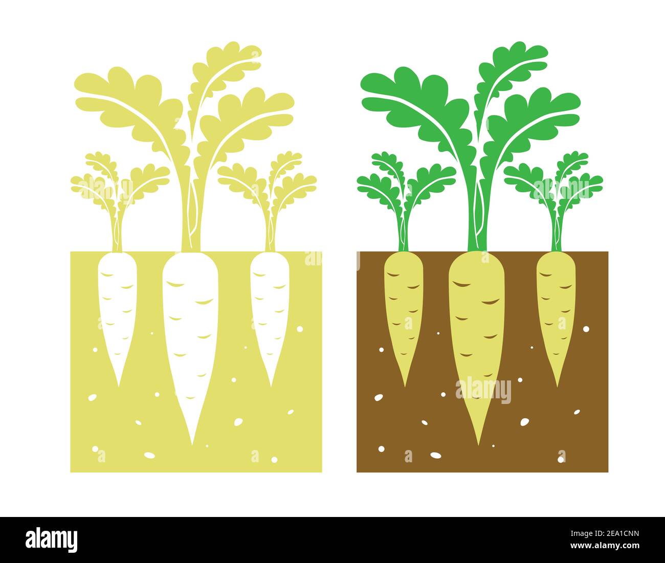 Turnip land Stock Vector Images - Alamy