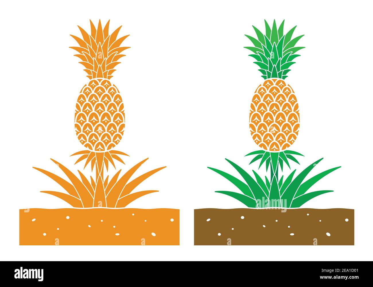 Pineapple garden Stock Vector Images - Alamy
