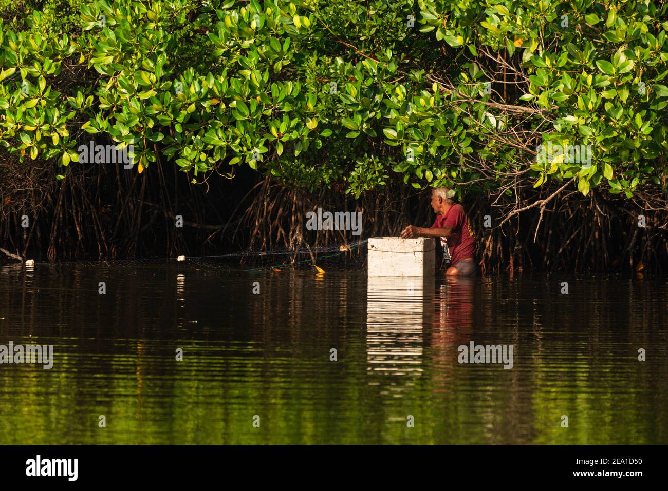 Waist deep in a water hi-res stock photography and images - Alamy
