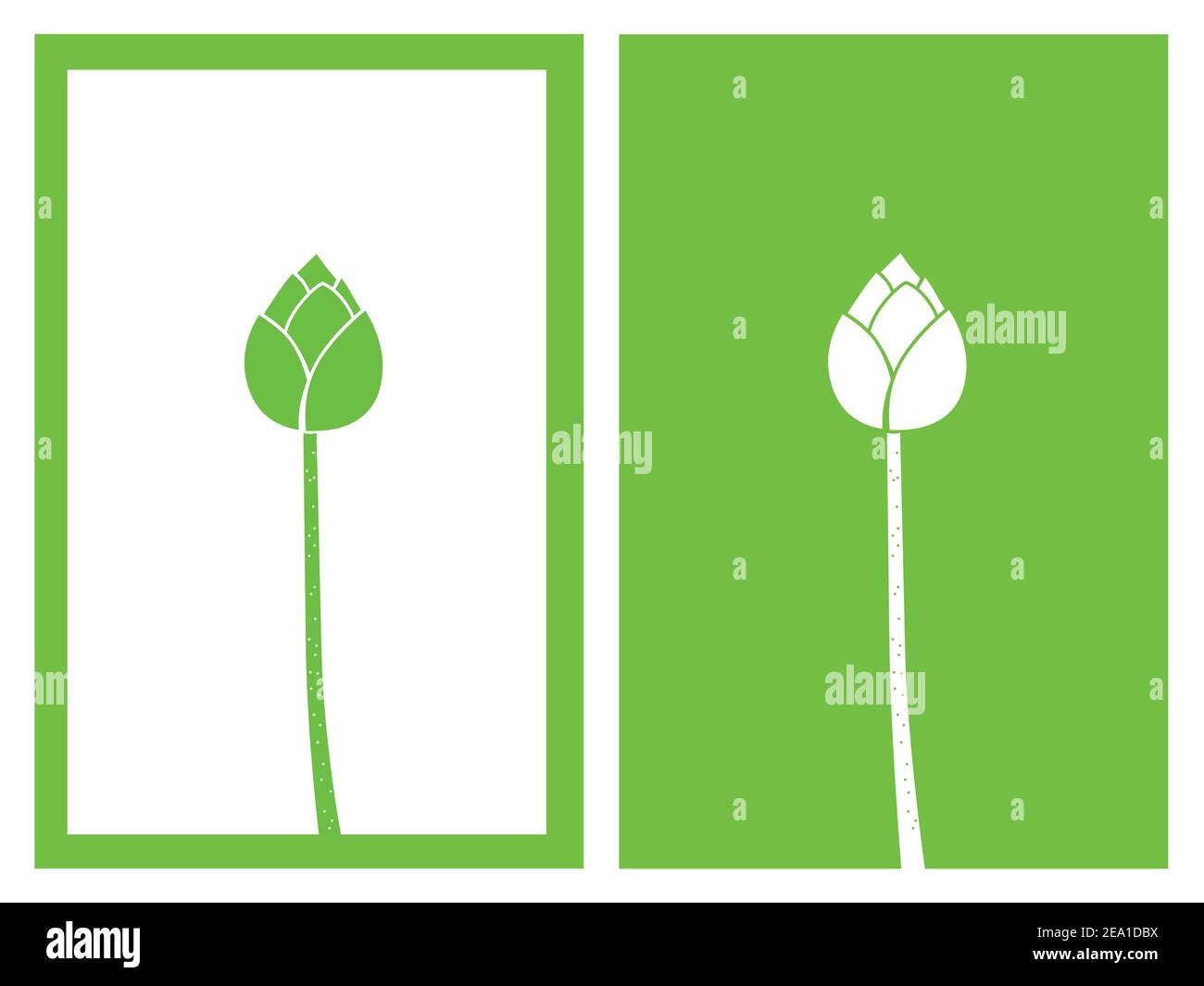 isolated green lotus buds,vector illustration Stock Vector Image & Art ...