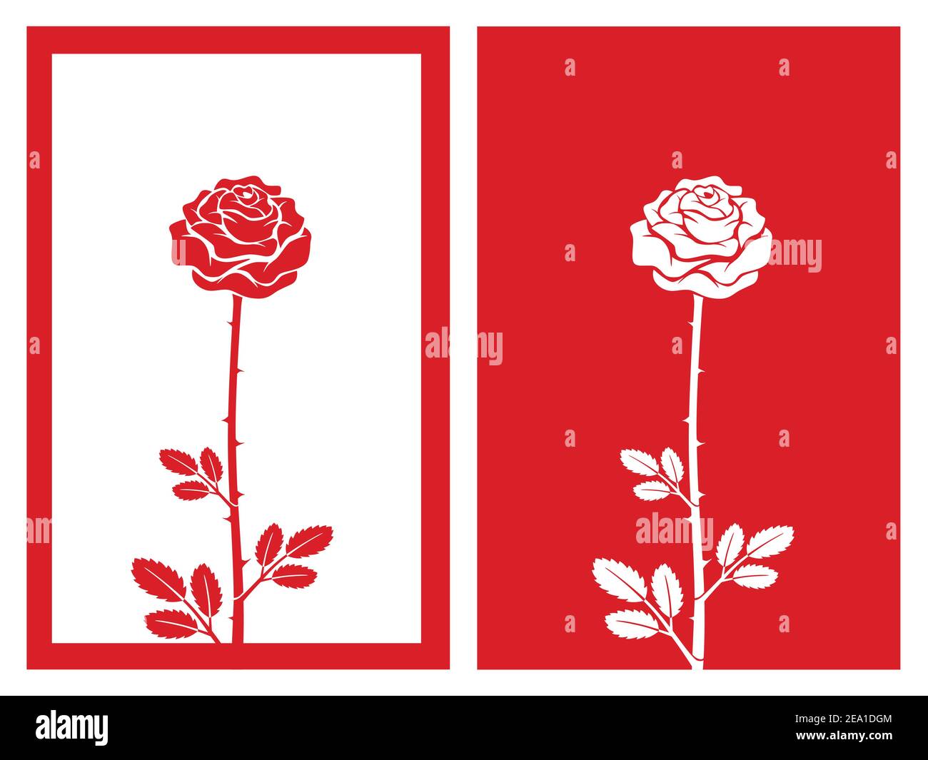 isolated red rose,vector illustration Stock Vector Image & Art - Alamy
