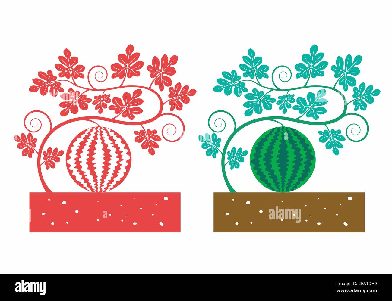 Cartoon watermelon vector vectors hi-res stock photography and images ...