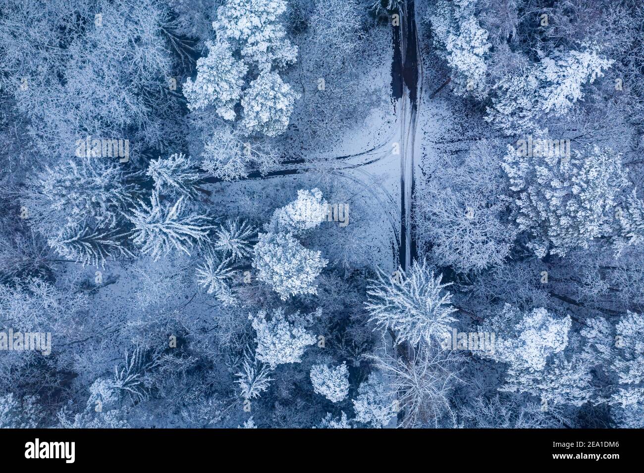 Top down view of snowy frozen forest at winter, aerial view Stock Photo ...
