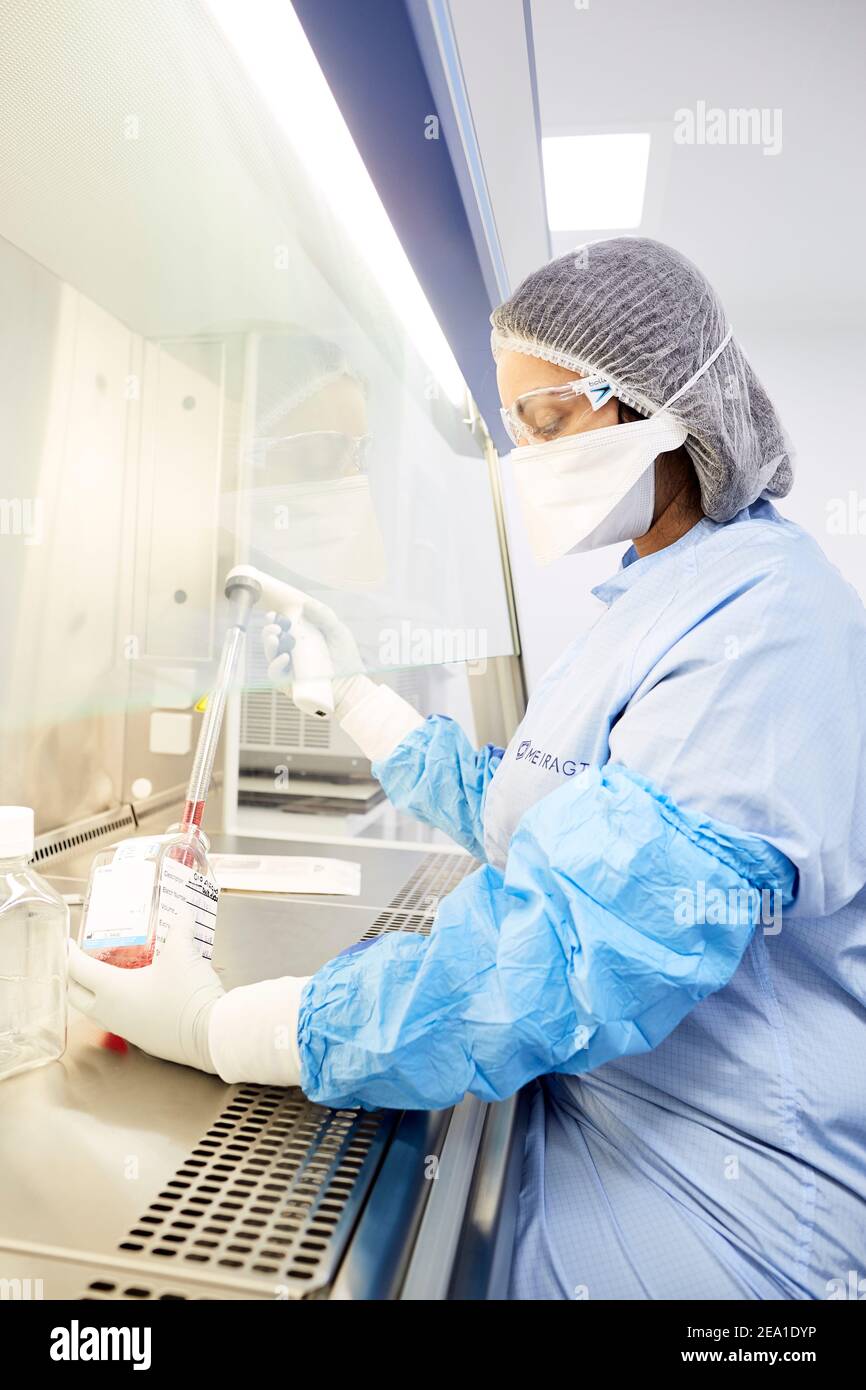 UK Science Vaccine Laboratory Stock Photo - Alamy