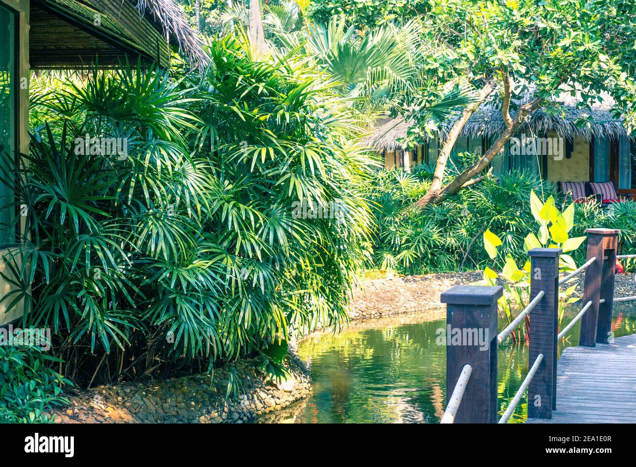 vegetation in the hotel park, design solution, landscaping with ...