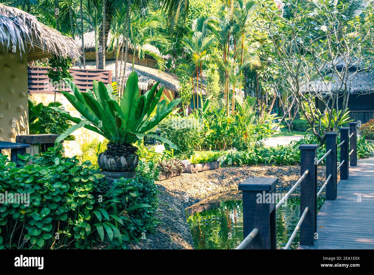 vegetation in the hotel park, design solution, landscaping with ...
