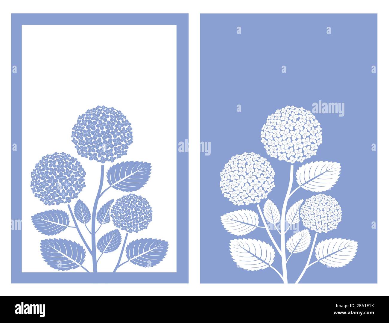isolated blue hydrangea flower,vector illustration Stock Vector Image ...