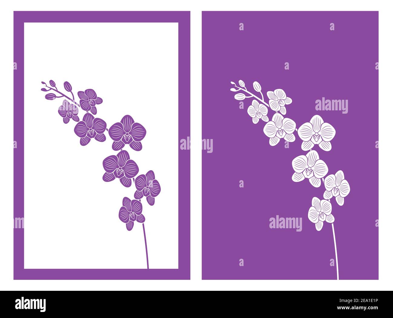 Orchid vector vectors hi-res stock photography and images - Alamy